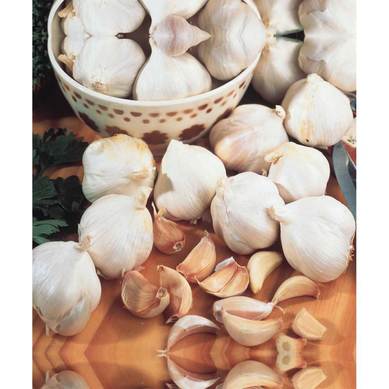 Ail rose Arno (250g)