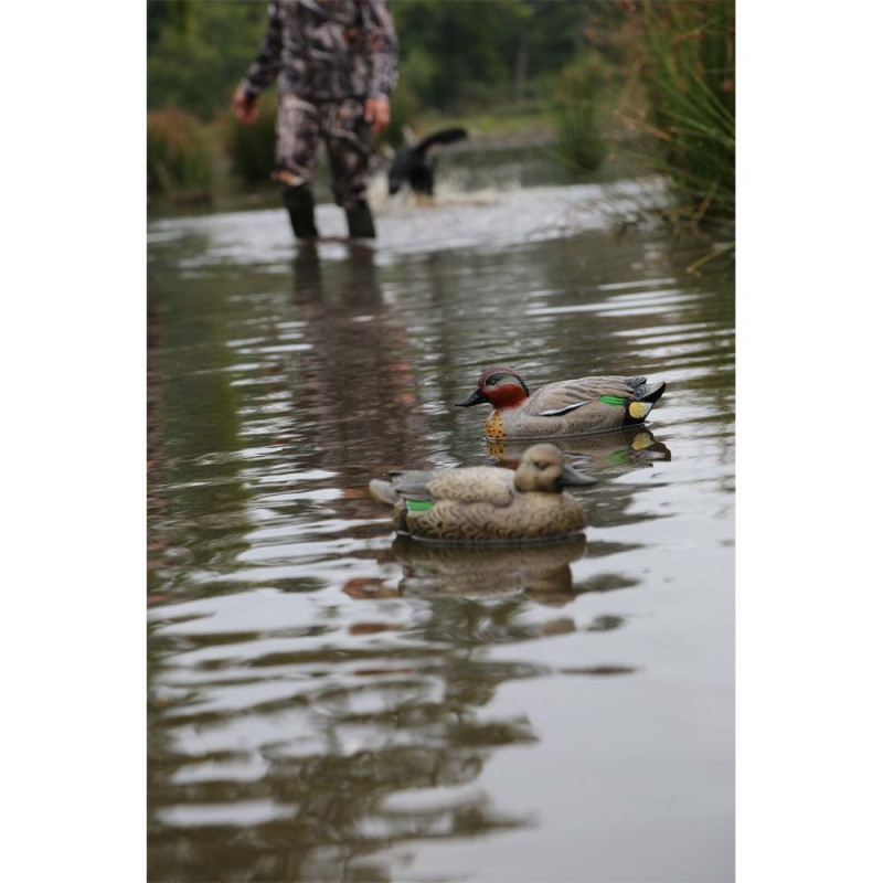 Pack de 6 Sarcelle Femelle Ultra HD moussé Stepland - Ducatillon Belgique