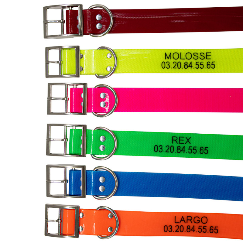 Collier gravé BIOGOLD grand chien - Ducatillon Belgique Coloris Orange Fluo